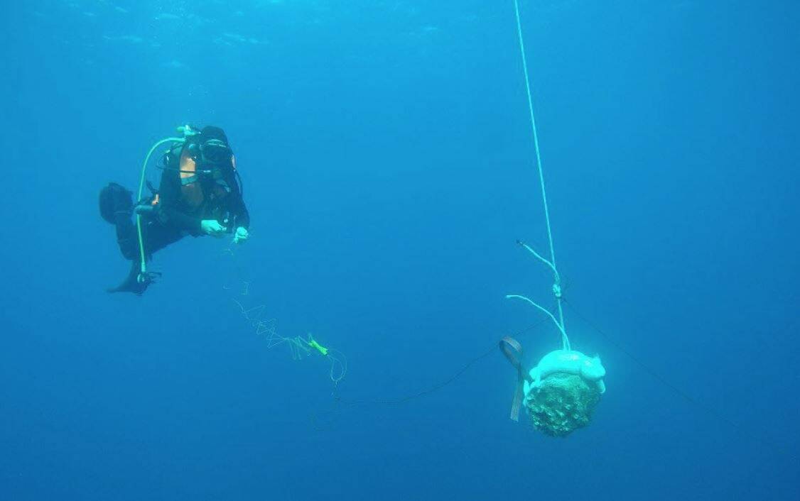 Un engin explosif neutralisé au large de la Corse, une équipe de ...