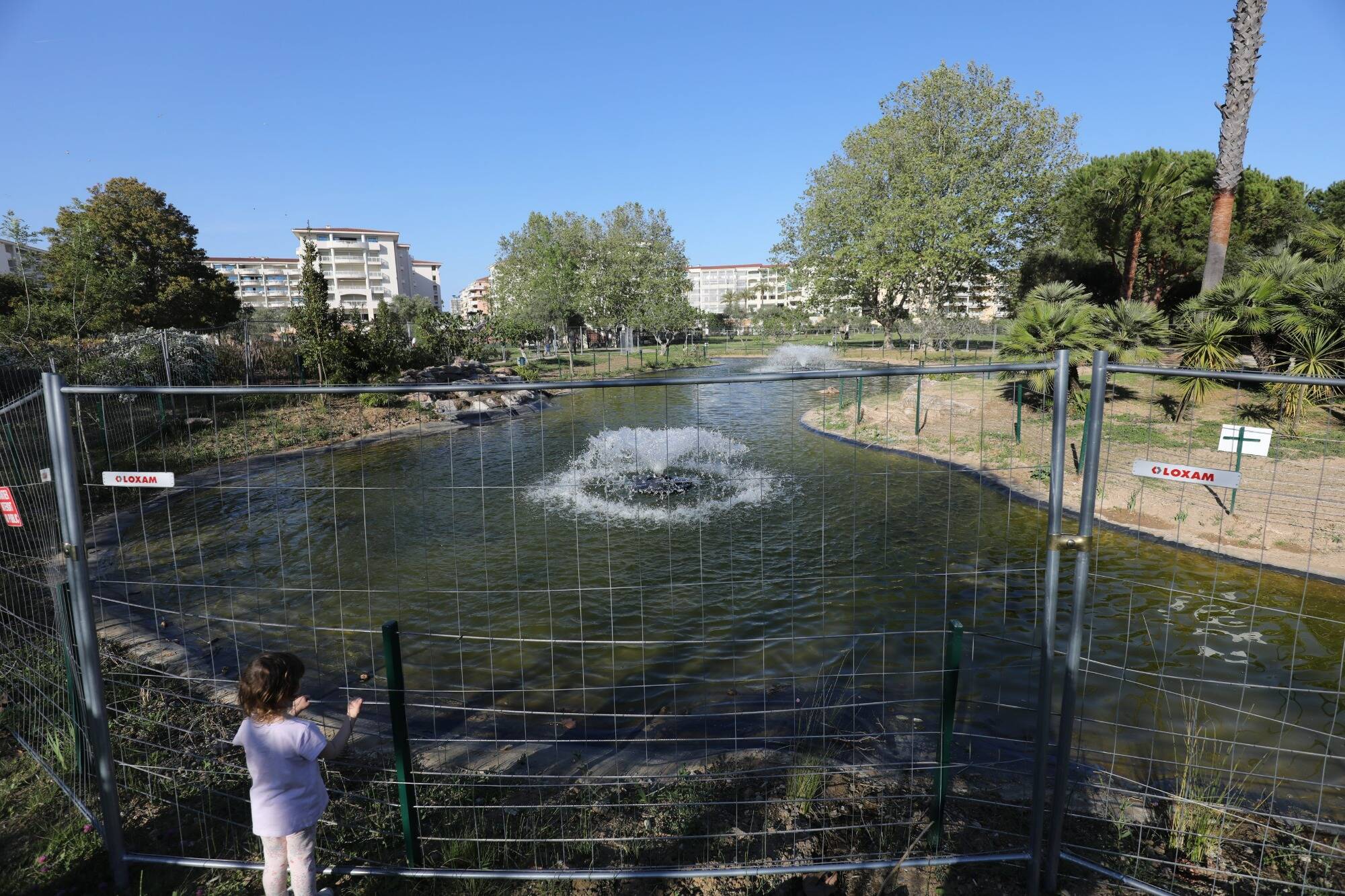 Au parc Exflora d'Antibes, le lâcher de carpes c’est pour bientôt ...