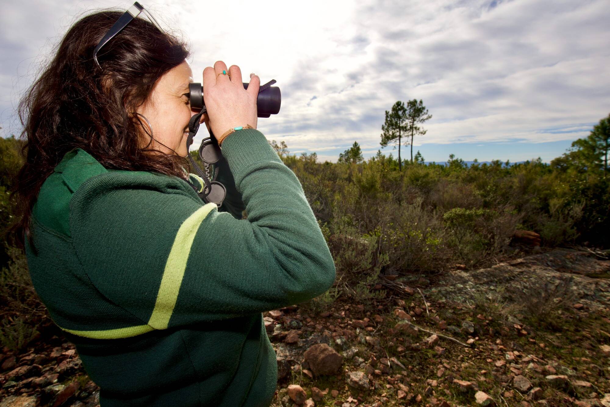 REPORTAGE. En immersion avec les agents de l'ONF dans le Var, en ...