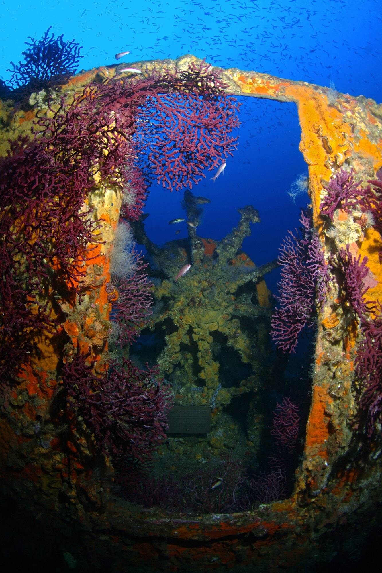 Pourquoi faut-il préserver les épaves qui reposent dans les profondeurs ...