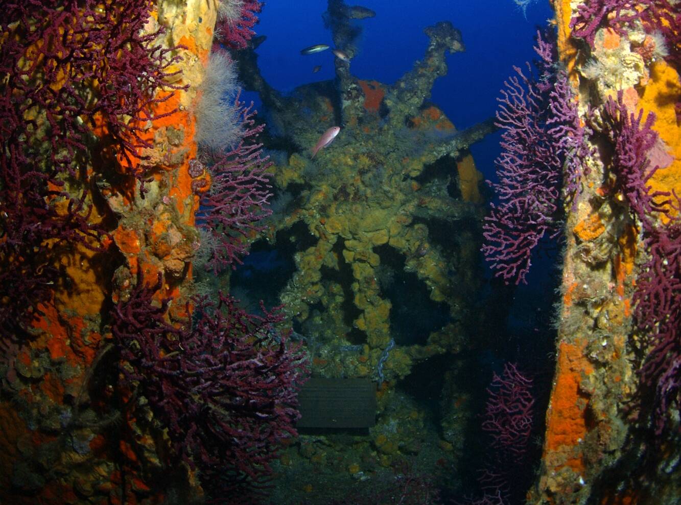 Pourquoi faut-il préserver les épaves qui reposent dans les profondeurs ...