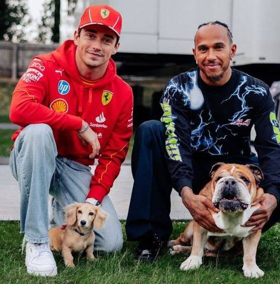 F1: Charles Leclerc et Lewis Hamilton organisent un date entre leurs ...