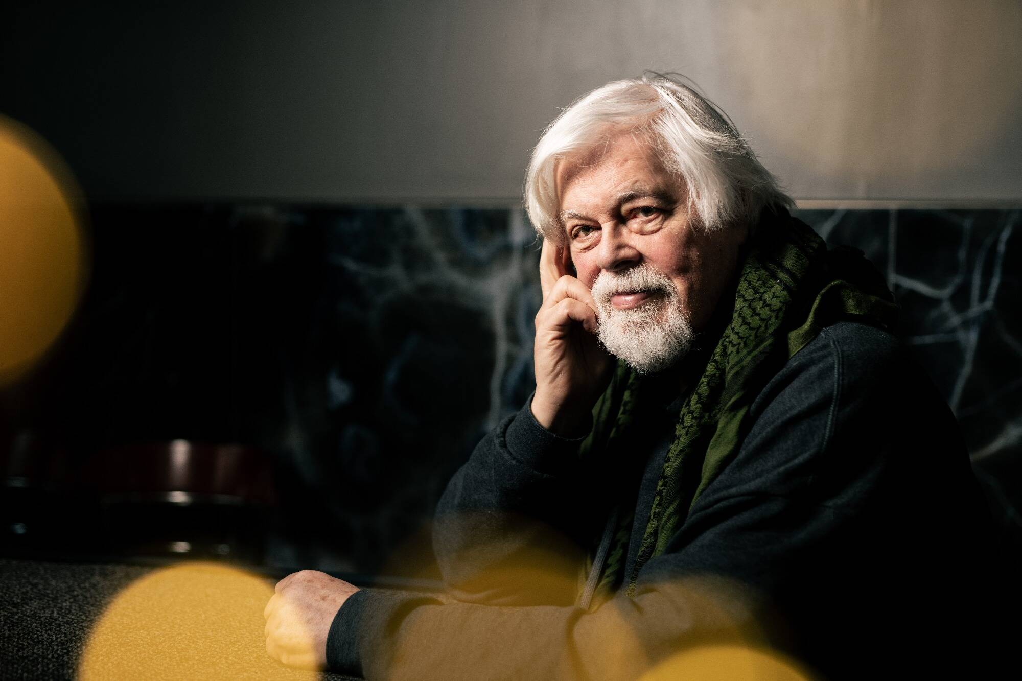 Pourquoi Paul Watson sera à Nice dès ce vendredi ? - Nice-Matin