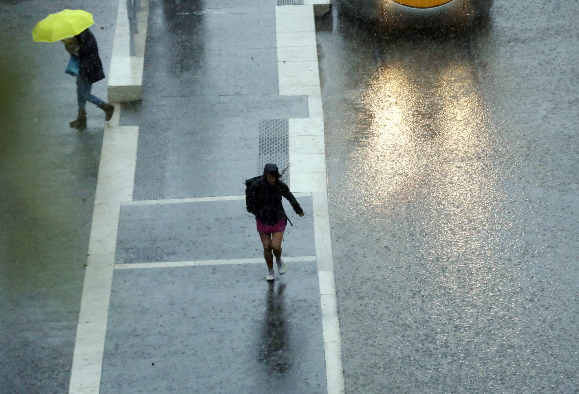 "Des cumuls importants pouvant tomber en peu de temps": ce que l'on ...