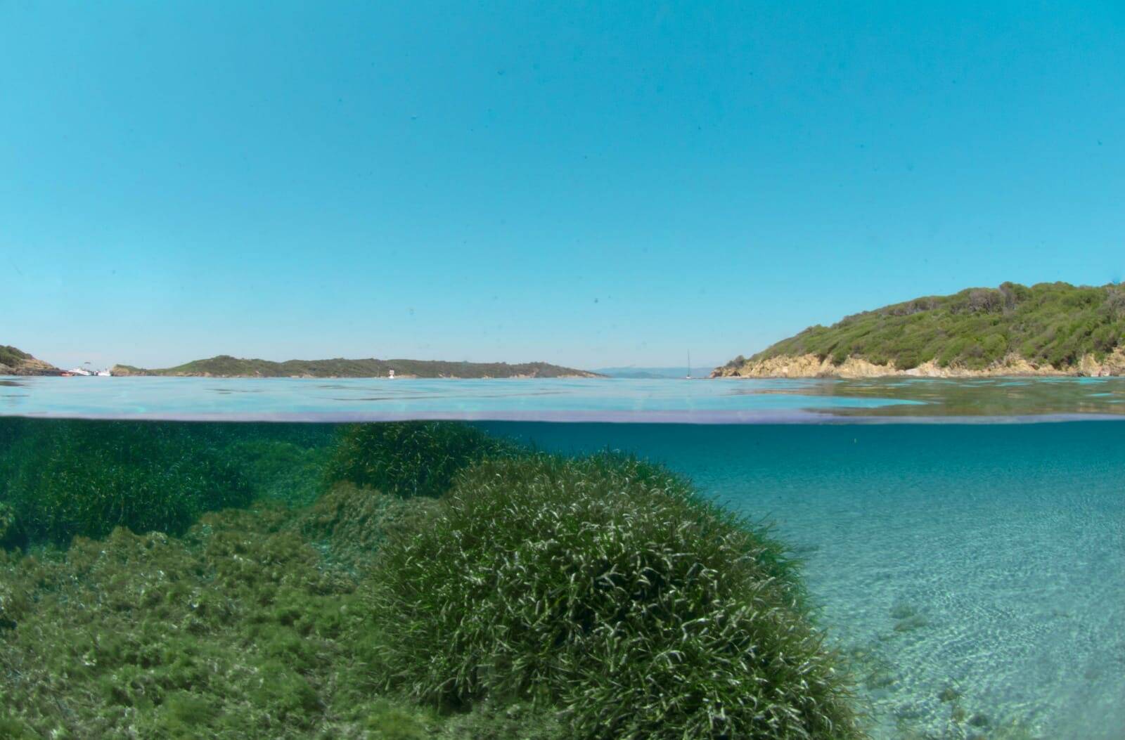 Soixante ans après sa création, on vous explique pourquoi le 1er parc ...