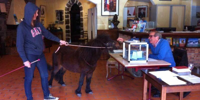 A Touët-sur-Var, elles vont voter avec... leur poney - Nice-Matin