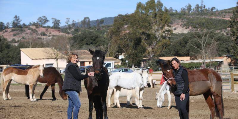 Dimanche prochain, le Poney-club dira merci - Nice-Matin