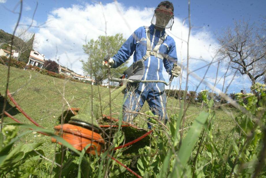 Débroussailler, oui, mais pas n'importe comment à Menton - Nice-Matin