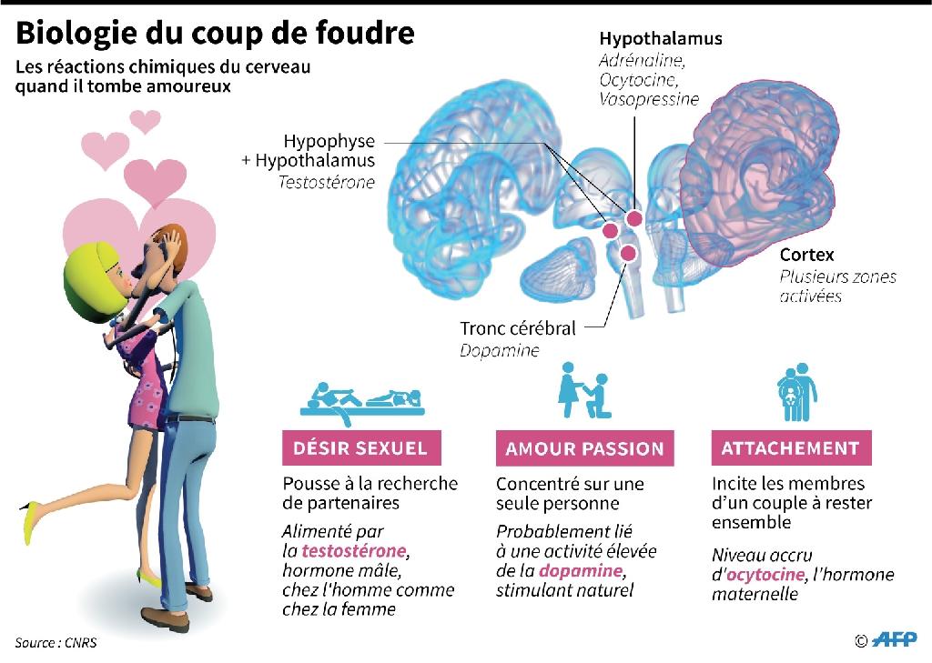 Avec ou sans Tinder, l'envie de couple reste Avec ou sans Tinder, l'envie de couple reste