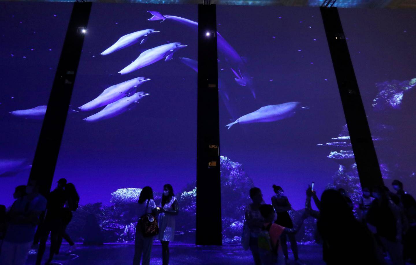 Le Top 5 des activités du Musée océanographique de Monaco - Nice-Matin