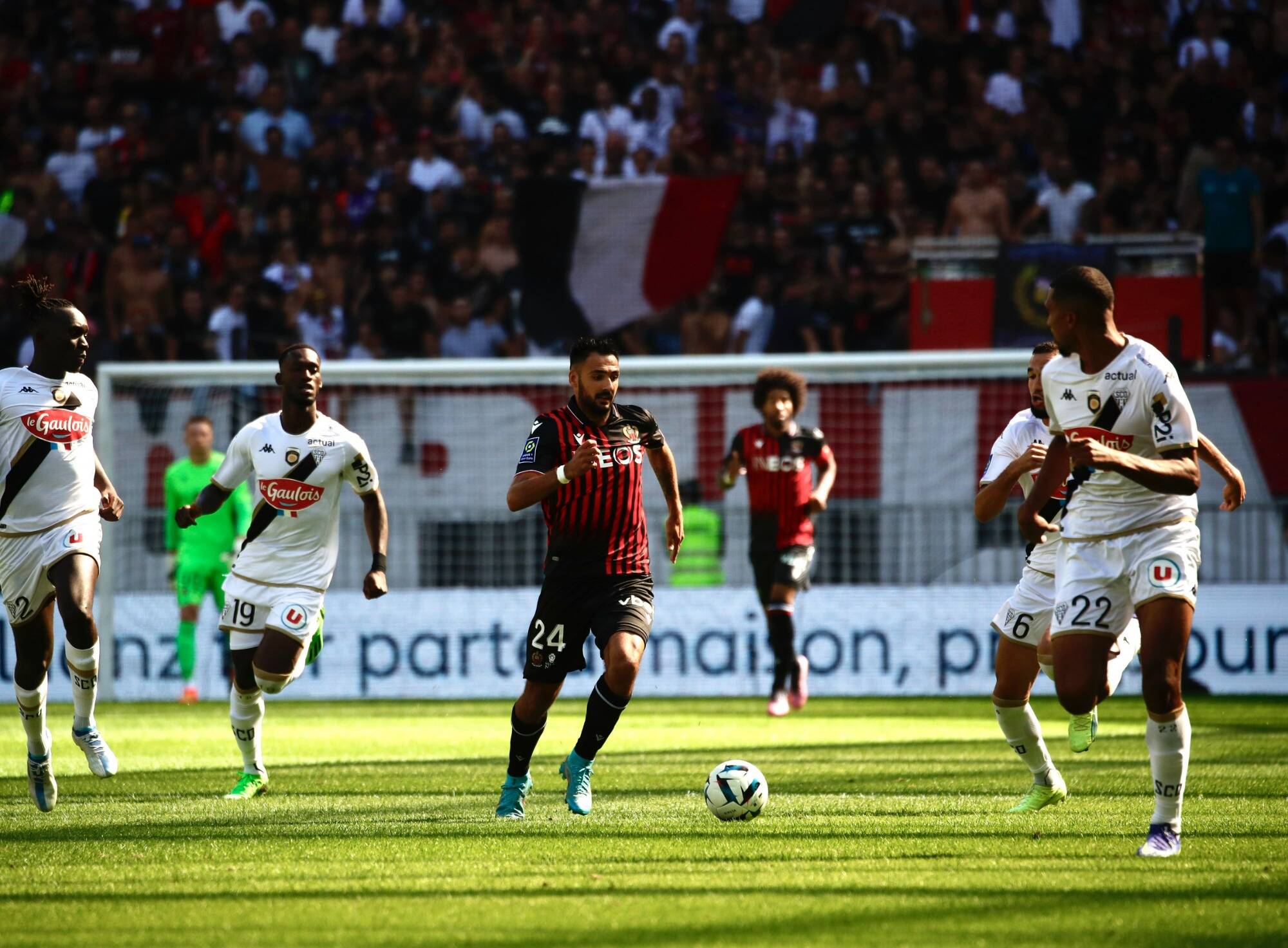 L'OGC Nice s'incline à l'Allianz face à Angers - Nice-Matin