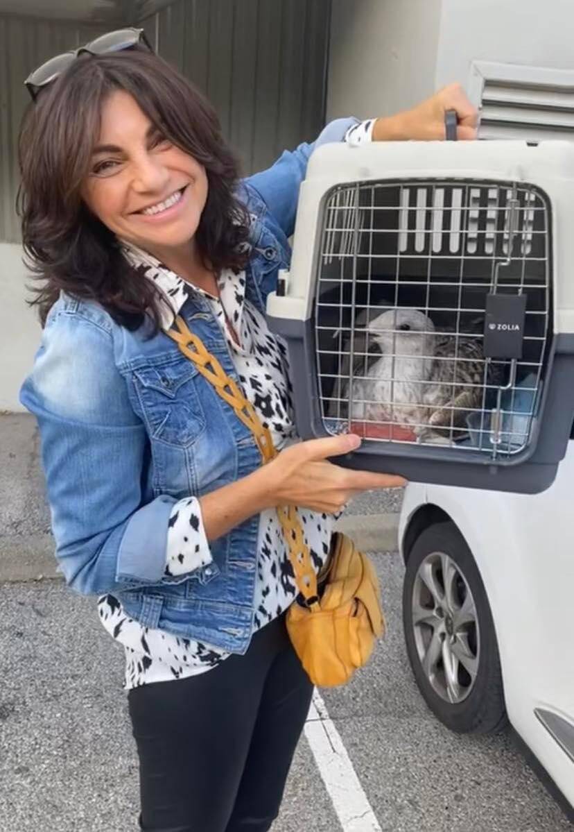 "Je ne te laisserai pas mourir sur ton toit": elle sauve un bébé ...