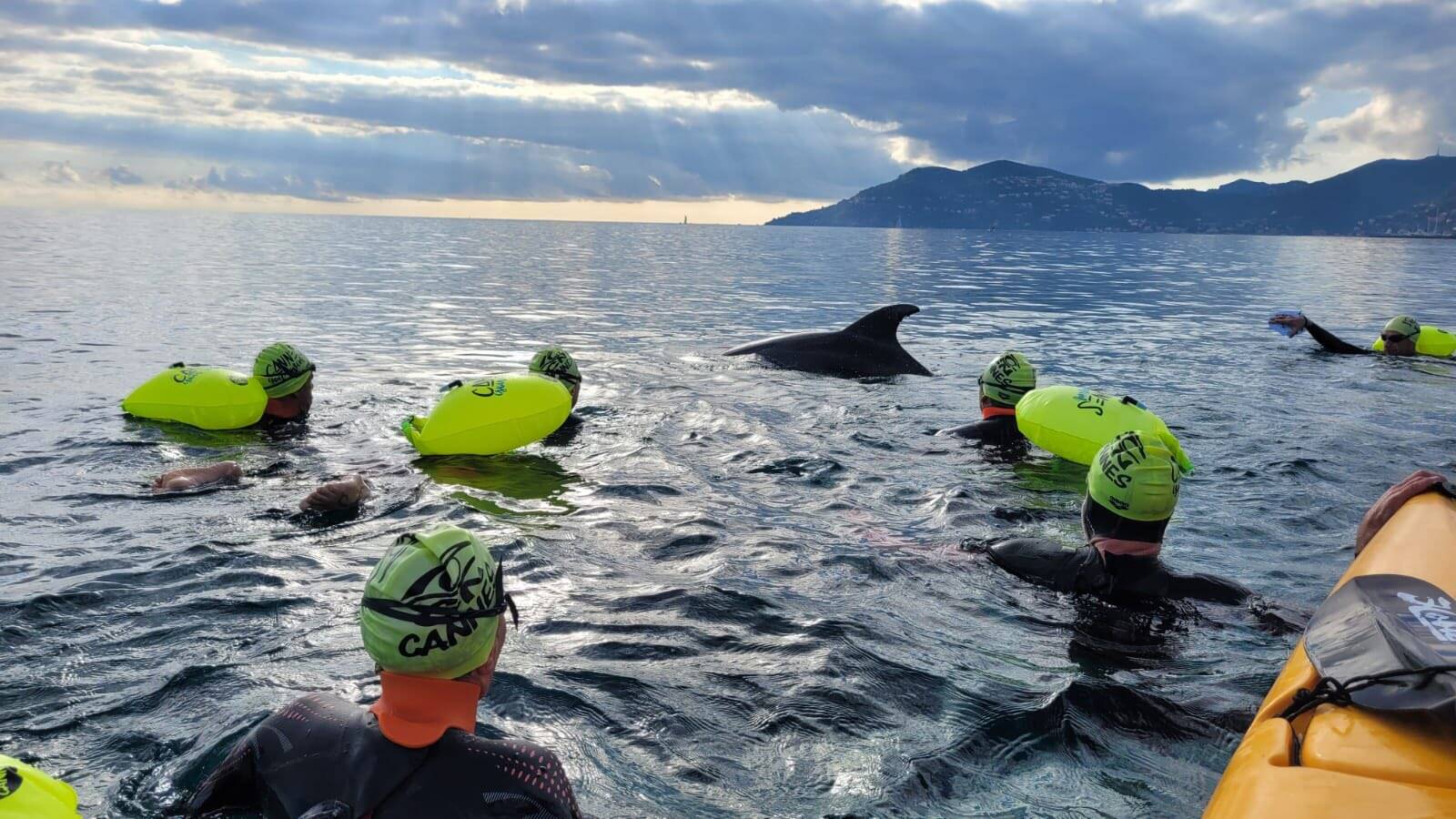 Les nageurs du CN Cannes ont partagé leur entraînement avec... un ...