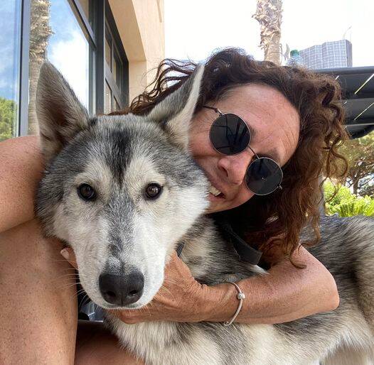 Disparition de Shon, le husky: sa maîtresse offre une récompense à la ...