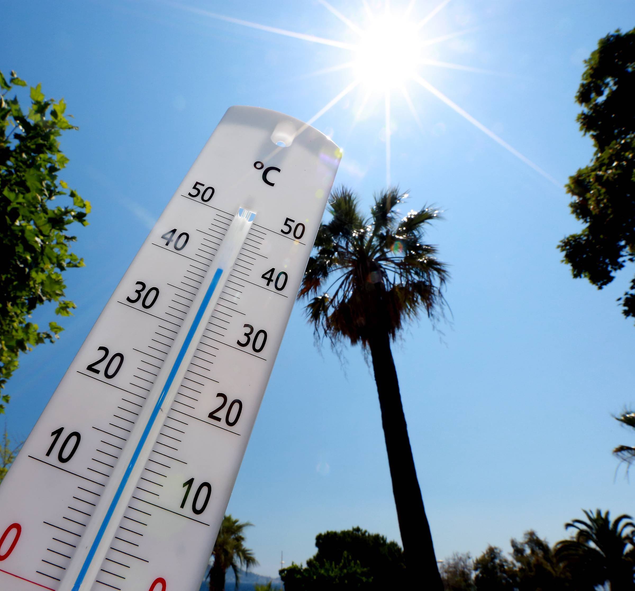 Quatre réflexes à connaître pour se préparer à la canicule à Toulon ...