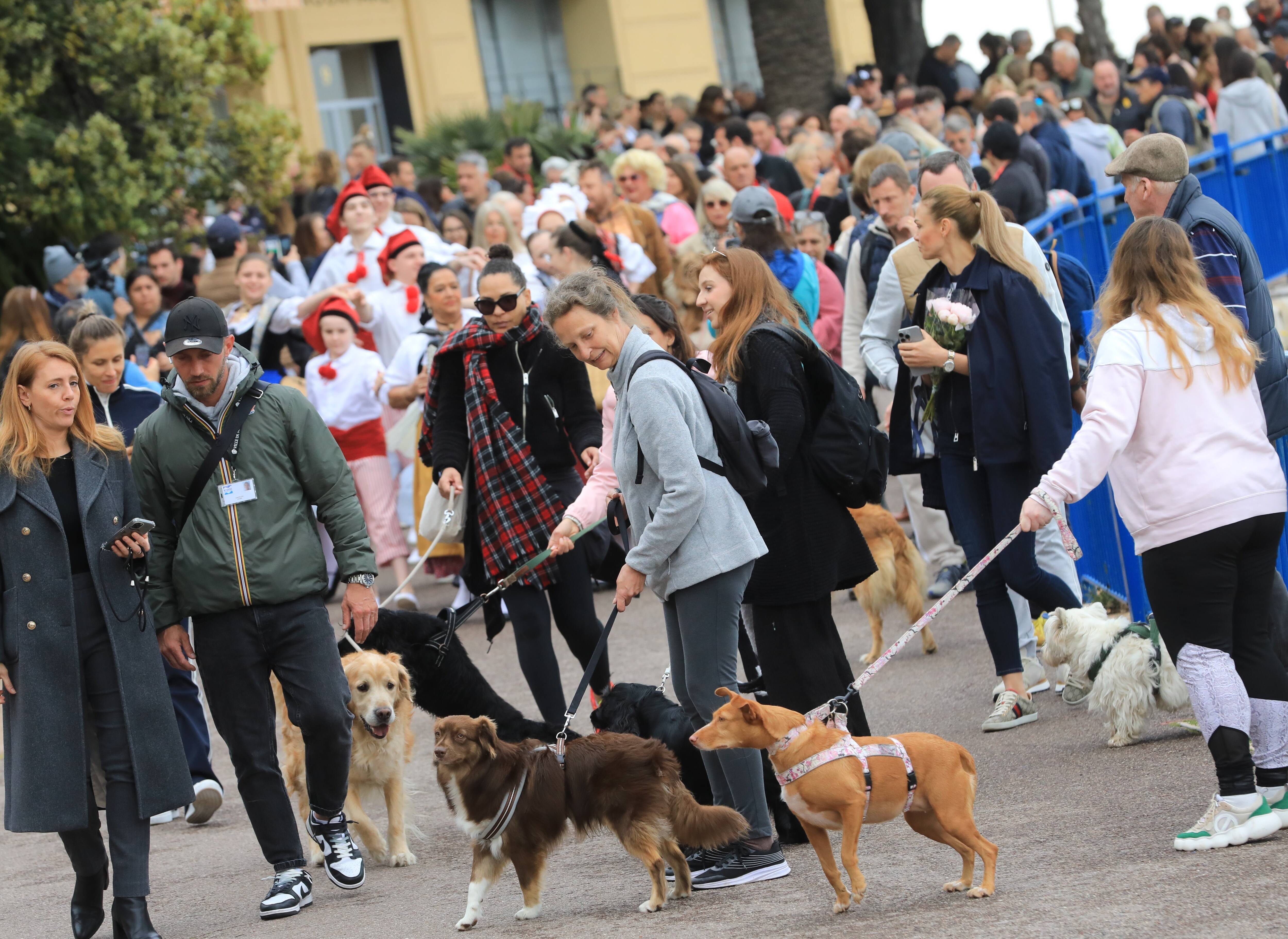 Nos plus belles photos de la Marche des animaux sur la promenade des ...
