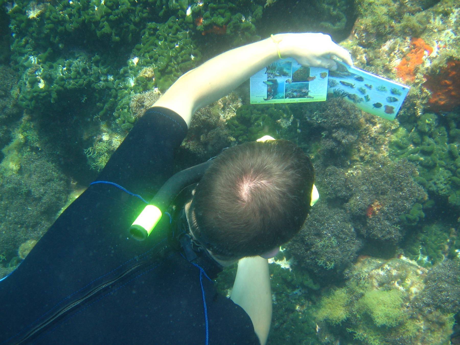 Ils ont à peine 10 ans et veulent se battre contre la pollution sonore ...