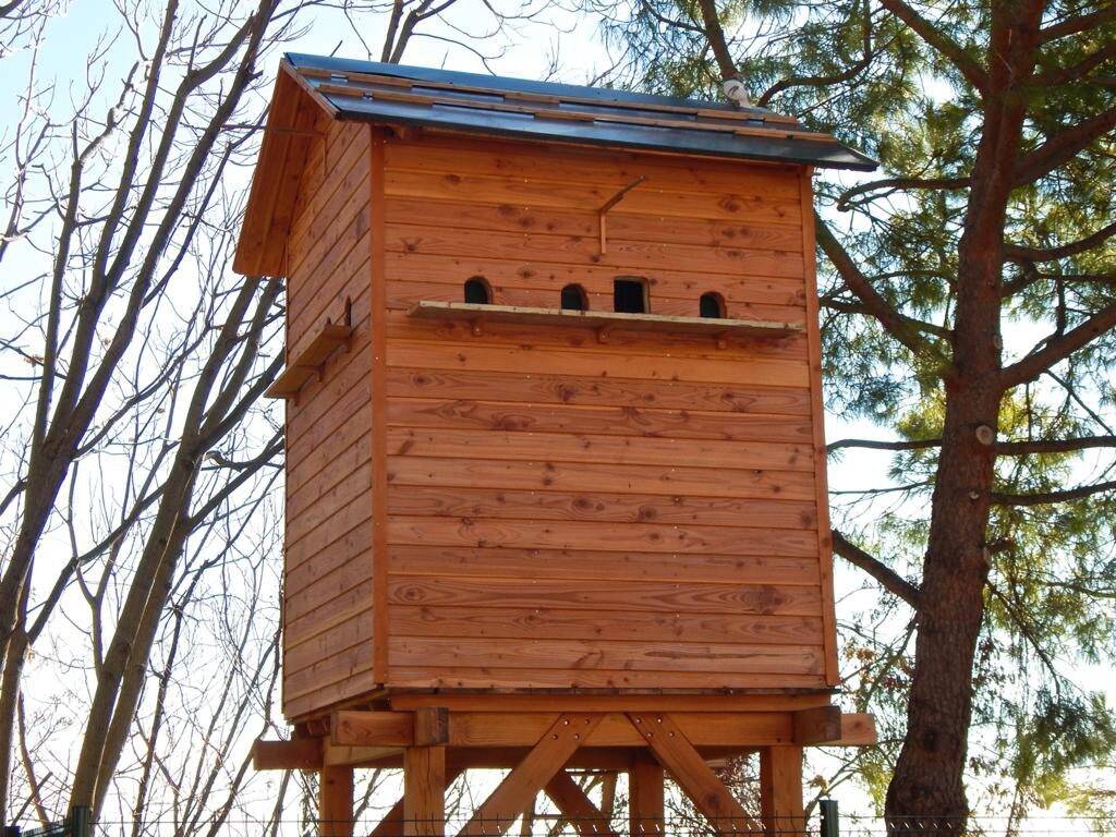 Quelle efficacité pour le pigeonnier de Saint-Jeannet? - Nice-Matin