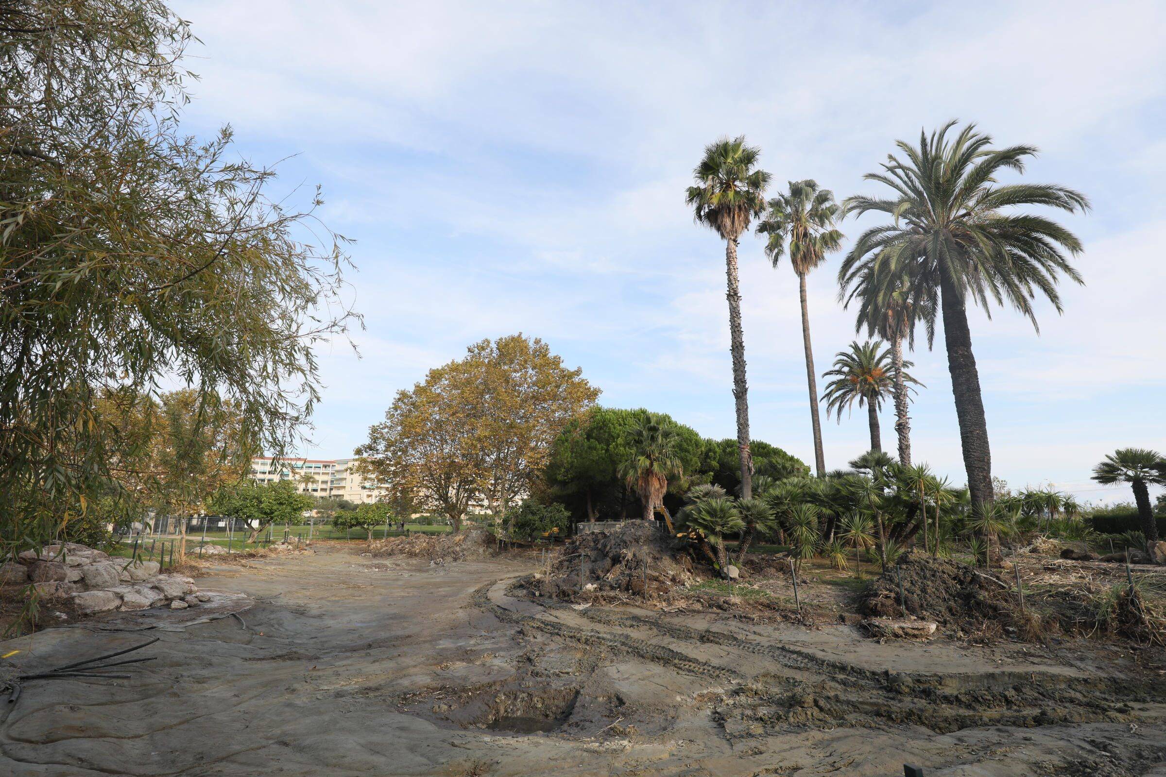 Pourquoi l’étang du parc Exflora d’Antibes a été asséché - Nice-Matin